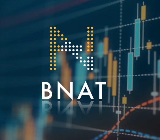 BNAT功能型治理代幣 量化團隊招募完成 首季完成高階策略開發 – 民生頭條